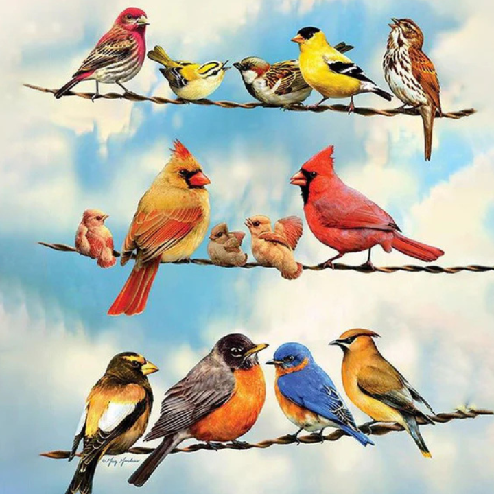 Improve your Creativity - Birds Jigsaw Puzzles
